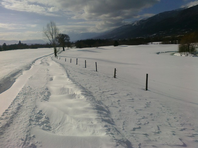 Clear Paths | champagnewhisky