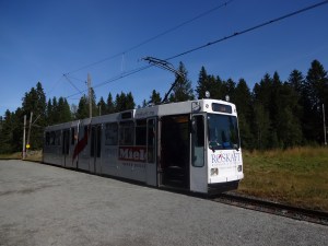 Northern Cable | champagnewhisky