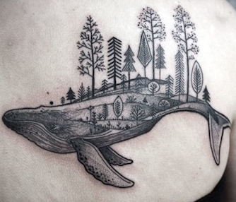 Fading Indelibility | champagnewhisky